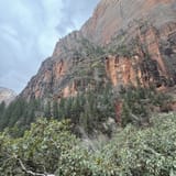 Kayenta Trail to the Emerald Pools, Utah - 2,526 Reviews, Map | AllTrails