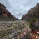 Kayenta Trail to the Emerald Pools, Utah - 2,526 Reviews, Map | AllTrails