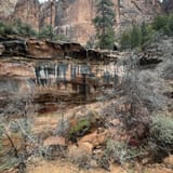 Kayenta Trail to the Emerald Pools, Utah - 2,526 Reviews, Map | AllTrails