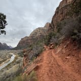 Kayenta Trail to the Emerald Pools, Utah - 2,526 Reviews, Map | AllTrails