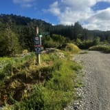 Karapoti Gorge Trail to McGhies Bridge, Wellington, New Zealand - 29 ...