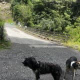 Karapoti Gorge Trail to McGhies Bridge, Wellington, New Zealand - 29 ...