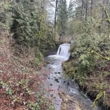 Hidden Falls Nature Park Trail, Oregon - 541 Reviews, Map | AllTrails
