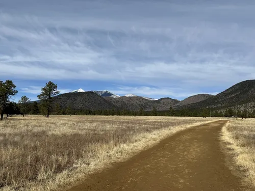 Best Hikes and Trails in Buffalo Park | AllTrails