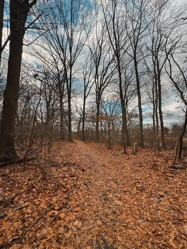 Best Hikes and Trails in Newton Lake Park | AllTrails