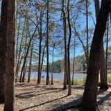 Ratcliff Lake Trail, Texas - 242 Reviews, Map | AllTrails