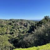 Inspiration Point, California - 3,859 Reviews, Map | AllTrails