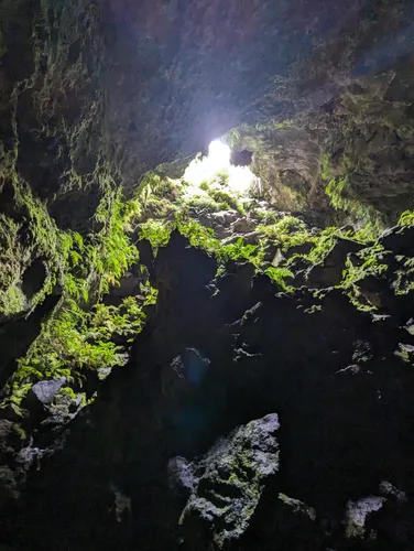 Best Hikes and Trails in Mount Napier State Park | AllTrails