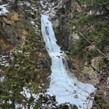 Fintry Falls, British Columbia, Canada - 285 Reviews, Map | AllTrails