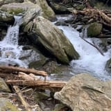 Kelly's Run Loop Trail, Pennsylvania - 3,201 Reviews, Map | AllTrails