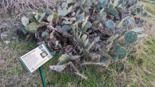 Best Hikes and Trails in Southwest Williamson County Regional Park ...