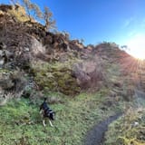 Rapid River Trail, Idaho - 260 Reviews, Map | AllTrails