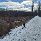 North Simcoe Rail Trail, Ontario, Canada - 103 Reviews, Map | AllTrails