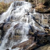 Yellow Branch Falls Trail, South Carolina - 2,514 Reviews, Map | AllTrails