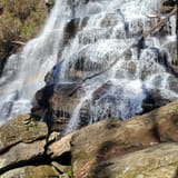 Yellow Branch Falls Trail, South Carolina - 2,514 Reviews, Map | AllTrails