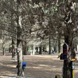 Bottle Lake Forest Blue Track, Canterbury, New Zealand - 238 Reviews ...