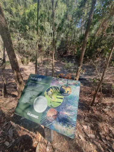 Best Walking Trails in Lower Beechmont Conservation Area | AllTrails