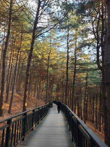 Best Walking Trails in Geumcheon-gu | AllTrails