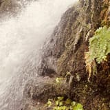 Dickerson Falls, Washington - 2,275 Reviews, Map | AllTrails