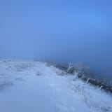 Max Patch Loop, North Carolina - 2,073 Reviews, Map | AllTrails