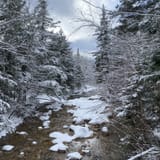 Livermore Road Trail, New Hampshire - 105 Reviews, Map | AllTrails