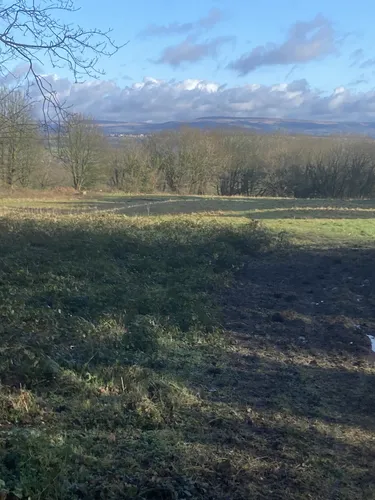 Best Hikes and Trails in Beacon Country Park | AllTrails