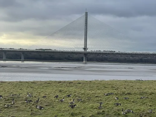 Best Hikes and Trails in Spike Island | AllTrails