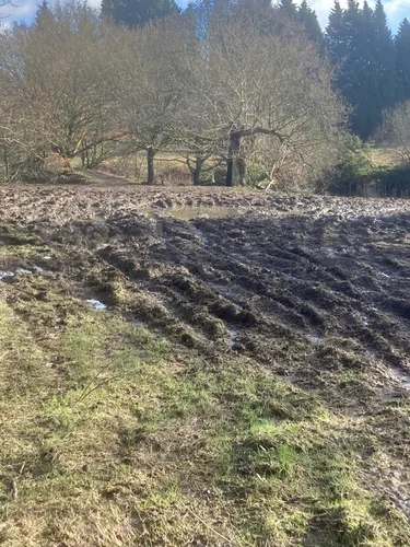 Best Hikes and Trails in Beacon Country Park | AllTrails