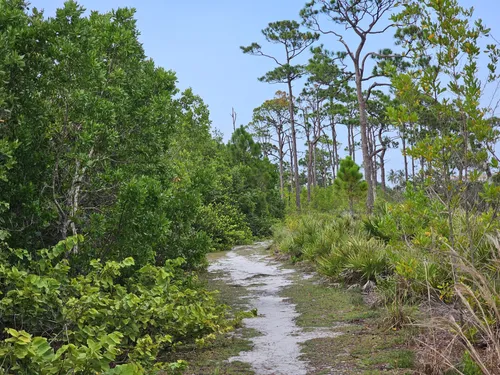 Best Hikes and Trails in Jupiter Ridge Natural Area | AllTrails