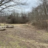 Reeves Brook Loop Trail, New York - 4,700 Reviews, Map | AllTrails