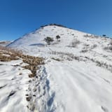 Big Beacon Mount Wire Trail, Utah - 1,848 Reviews, Map | AllTrails