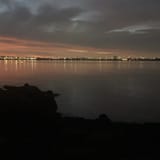 Albany Bulb, California - 393 Reviews, Map | AllTrails