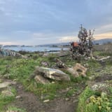 Albany Bulb, California - 393 Reviews, Map | AllTrails