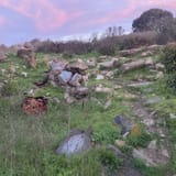 Albany Bulb, California - 393 Reviews, Map | AllTrails