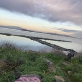 Albany Bulb, California - 393 Reviews, Map | AllTrails