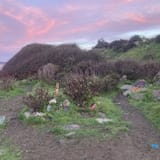 Albany Bulb, California - 393 Reviews, Map | AllTrails