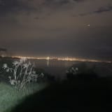 Albany Bulb, California - 363 Reviews, Map | AllTrails
