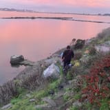Albany Bulb, California - 393 Reviews, Map | AllTrails