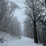 Prospect Rock Trail, Vermont - 876 Reviews, Map | AllTrails