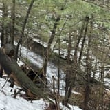 Prospect Rock Trail, Vermont - 876 Reviews, Map | AllTrails