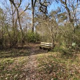 Moon Seed Loop, Louisiana - 381 Reviews, Map | AllTrails