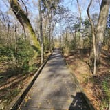 Moon Seed Loop, Louisiana - 381 Reviews, Map | AllTrails