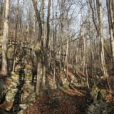 Stephens Gap Cave Trail, Alabama - 405 Reviews, Map | AllTrails