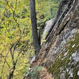 Mount Ascutney via Weathersfield Trail, Vermont - 1,318 Reviews, Map ...