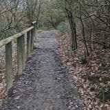 Anglezarke Reservoir, Lancashire, England - 554 Reviews, Map | AllTrails