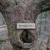 Anglezarke Reservoir, Lancashire, England - 554 Reviews, Map | AllTrails