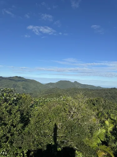 Best Hikes and Trails in Toro Negro State Forest | AllTrails