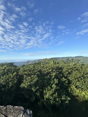 Best Hikes and Trails in Toro Negro State Forest | AllTrails