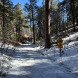 Mars Hill Trail, Arizona - 1,222 Reviews, Map | AllTrails