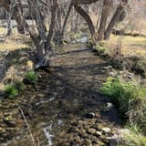 Black Hawk Trail Loop, Arizona - 190 Reviews, Map | AllTrails
